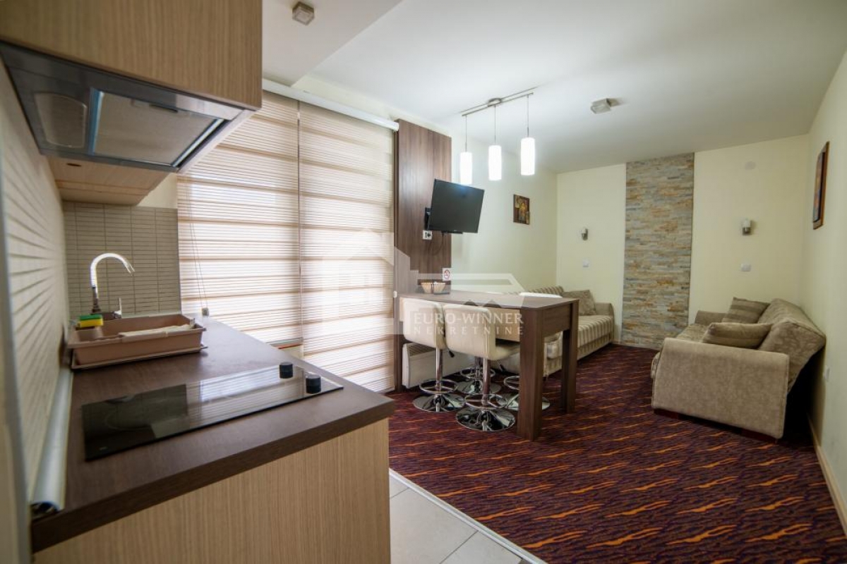 Kopaonik, Okolina, Garsonjera, Prodaja, 22 m2, 99.000 € - Kopaonik ...