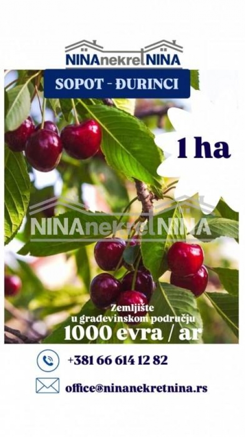 Beograd, Sopot, Đurinci, Plac, Prodaja, 100 a, 1.000 € - Prodaja ...