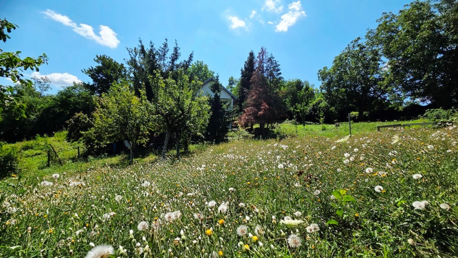 Beočin, Okolina, Koruška, Kuća, Prodaja, 66 m2, 57.000 € - KORUŠKA ...