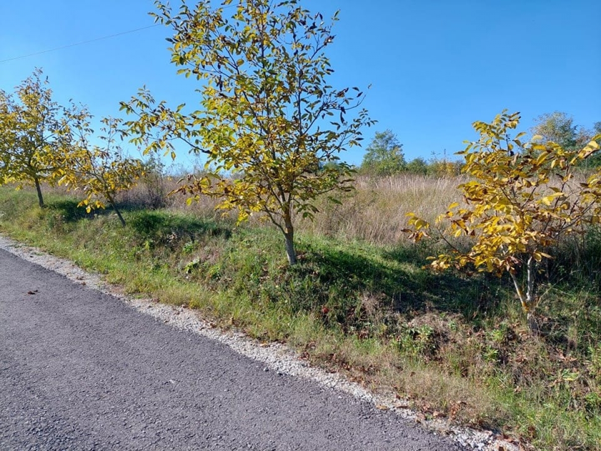 Beograd, Voždovac, Avala, Plac, Prodaja, 13 a, 50.000 € - Plac Avala 13 ...