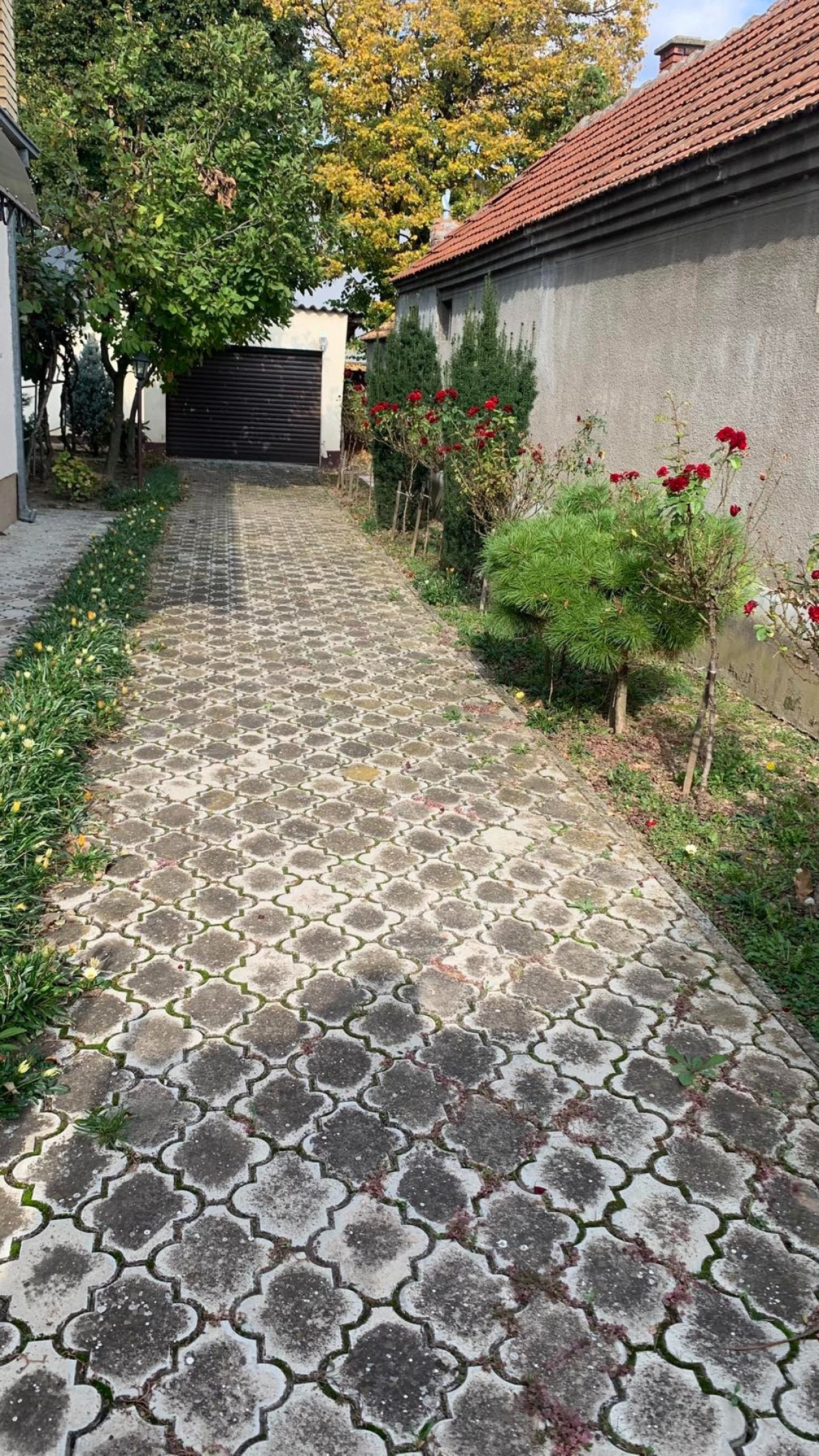 Sremska Mitrovica, Širi centar, Kuća, Prodaja, 200 m2, 150.000 ...